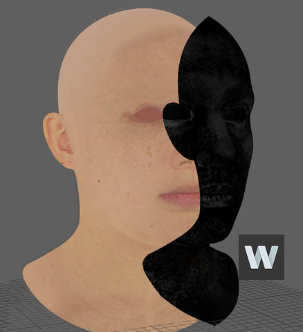 Transfer VFace maps template | Wrap – Texturing.xyz