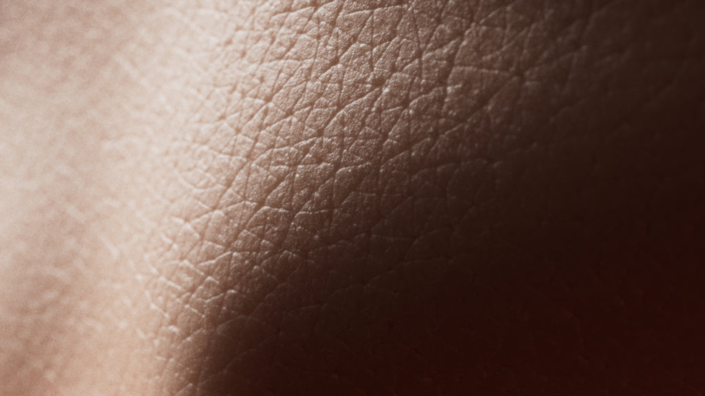 Microskin scapular #01 – Texturing.xyz