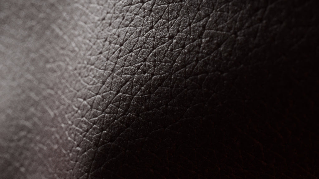 Microskin scapular #01 – Texturing.xyz