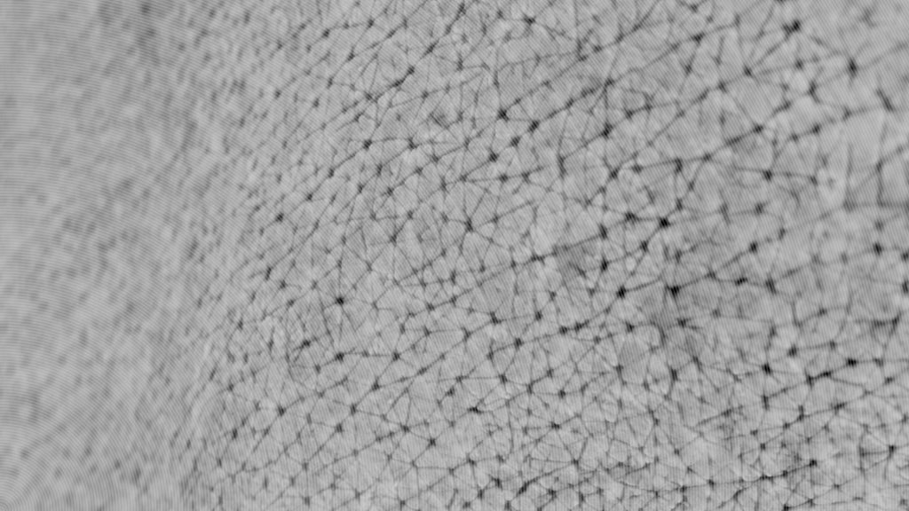 Microskin pectoral #12 – Texturing.xyz
