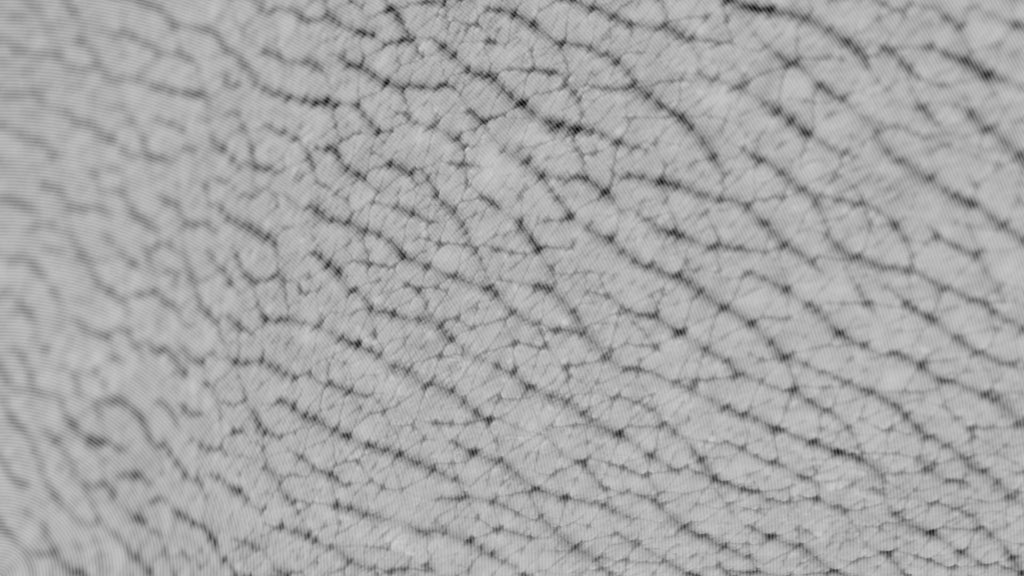 Microskin forearm #06 – Texturing.xyz