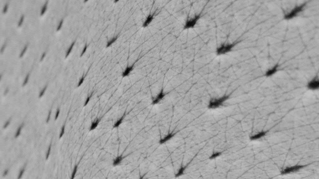 Microskin dorsal #01 – Texturing.xyz