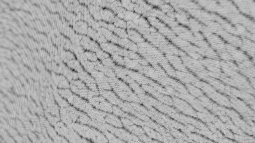 Microskin forearm #09 – Texturing.xyz