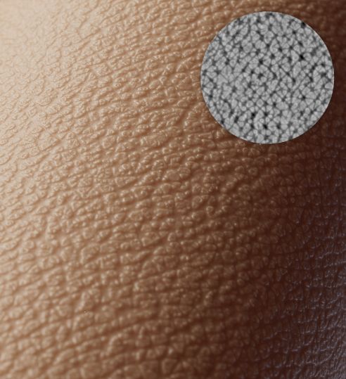 Microskin thigh #20 – Texturing.xyz