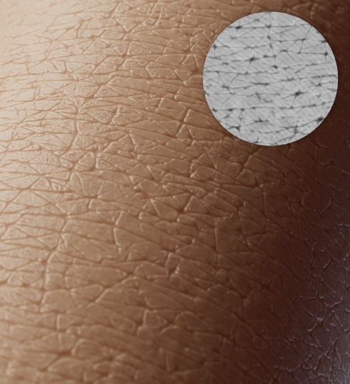 Microskin abdominal #01 – Texturing.xyz