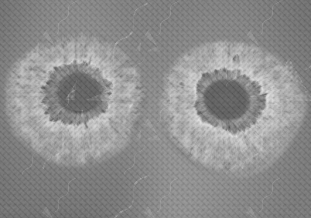 Iris bundle #01 – Texturing.xyz