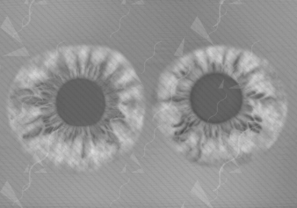 Iris bundle #01 – Texturing.xyz