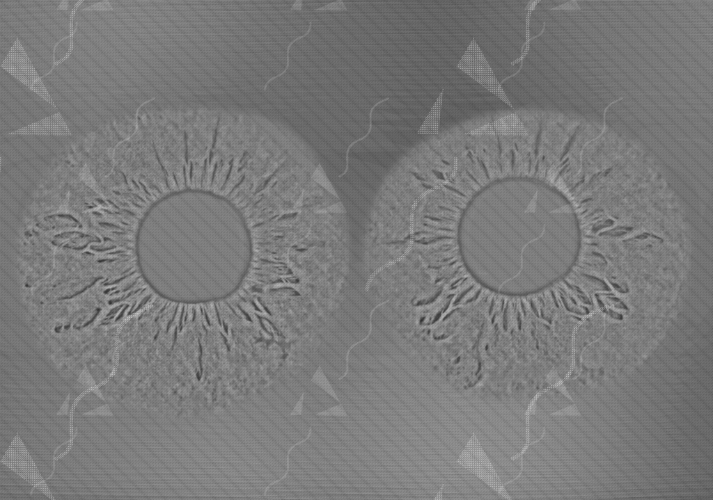 Iris bundle #01 – Texturing.xyz