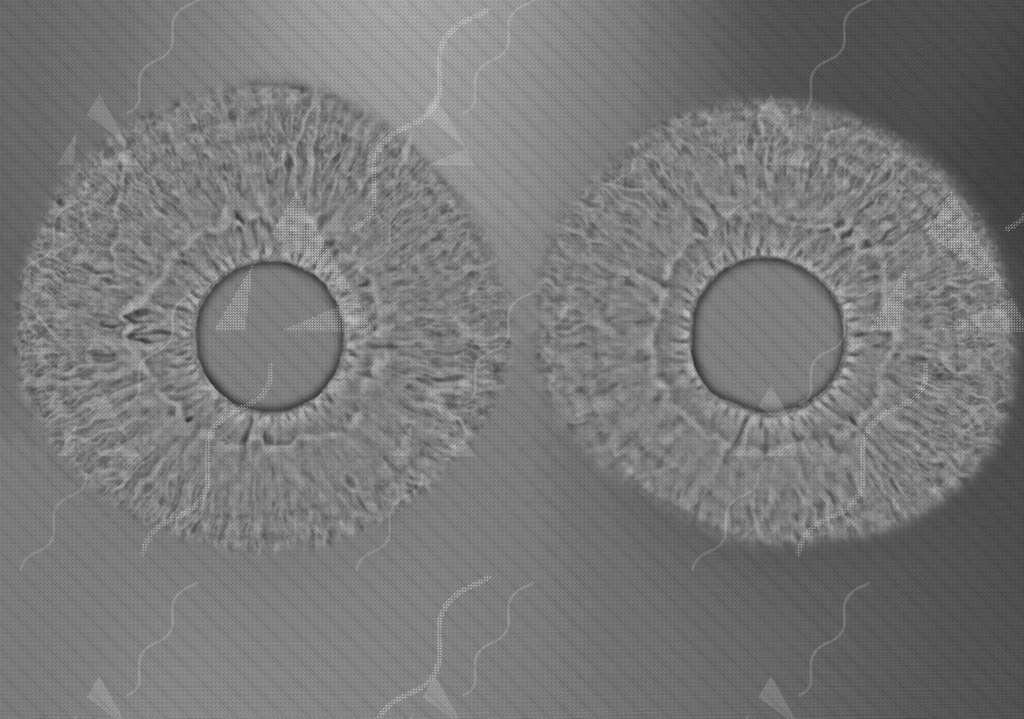 Iris bundle #01 – Texturing.xyz