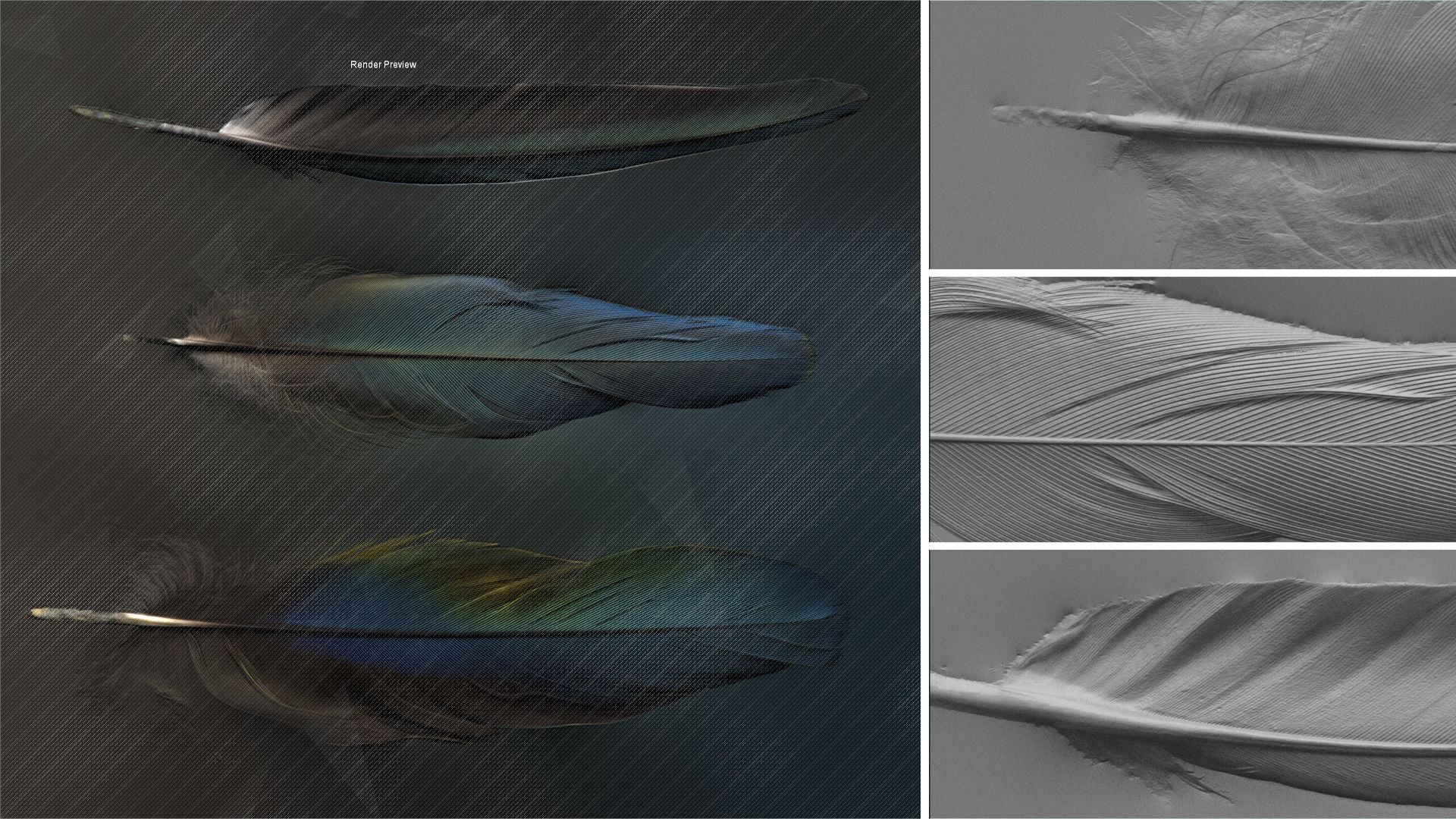 Feather #02 – Texturing.xyz
