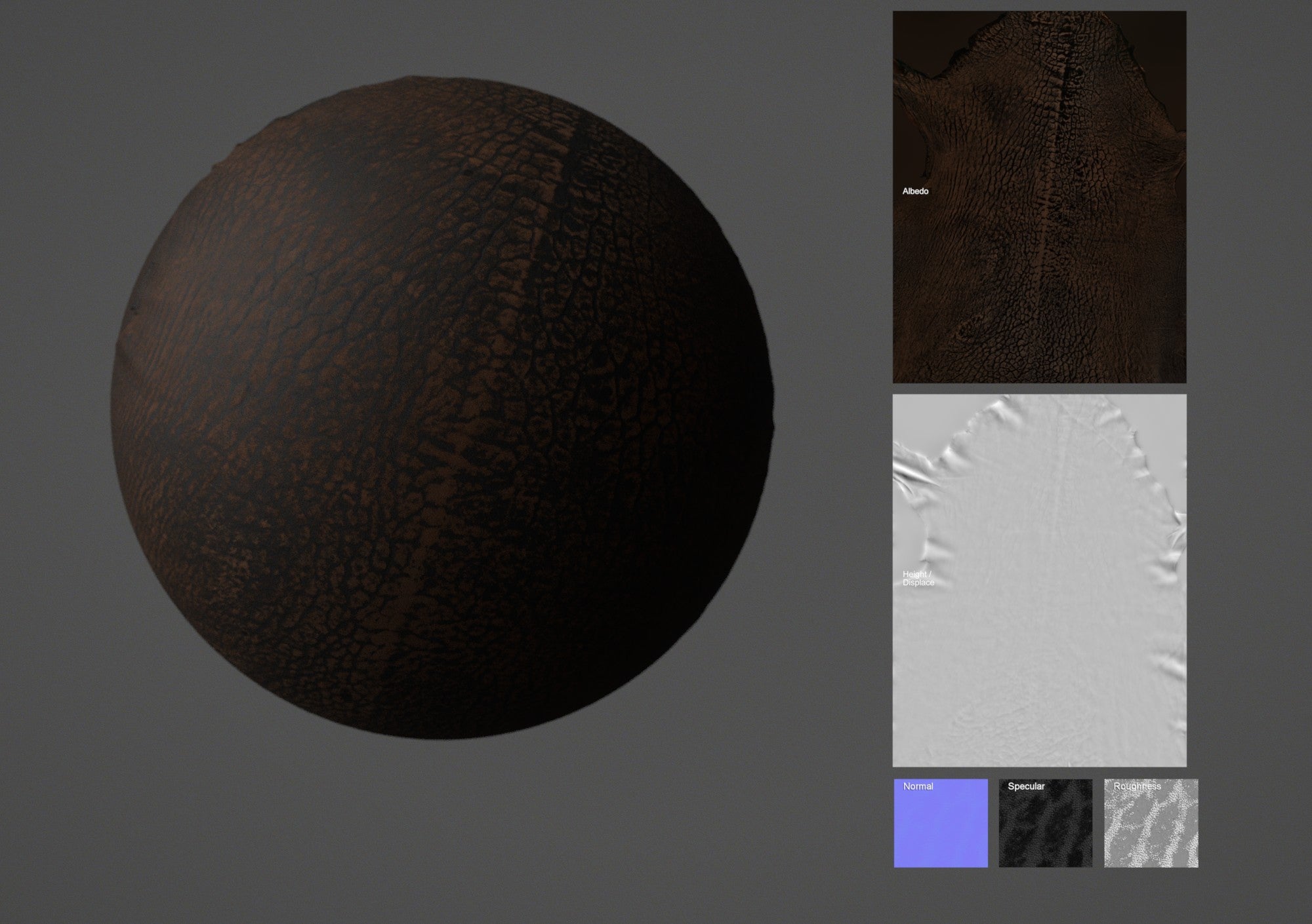 Lamb leather #55 – Texturing.xyz