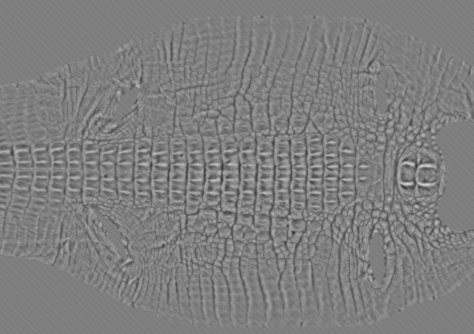 Caiman body #01 – Texturing.xyz