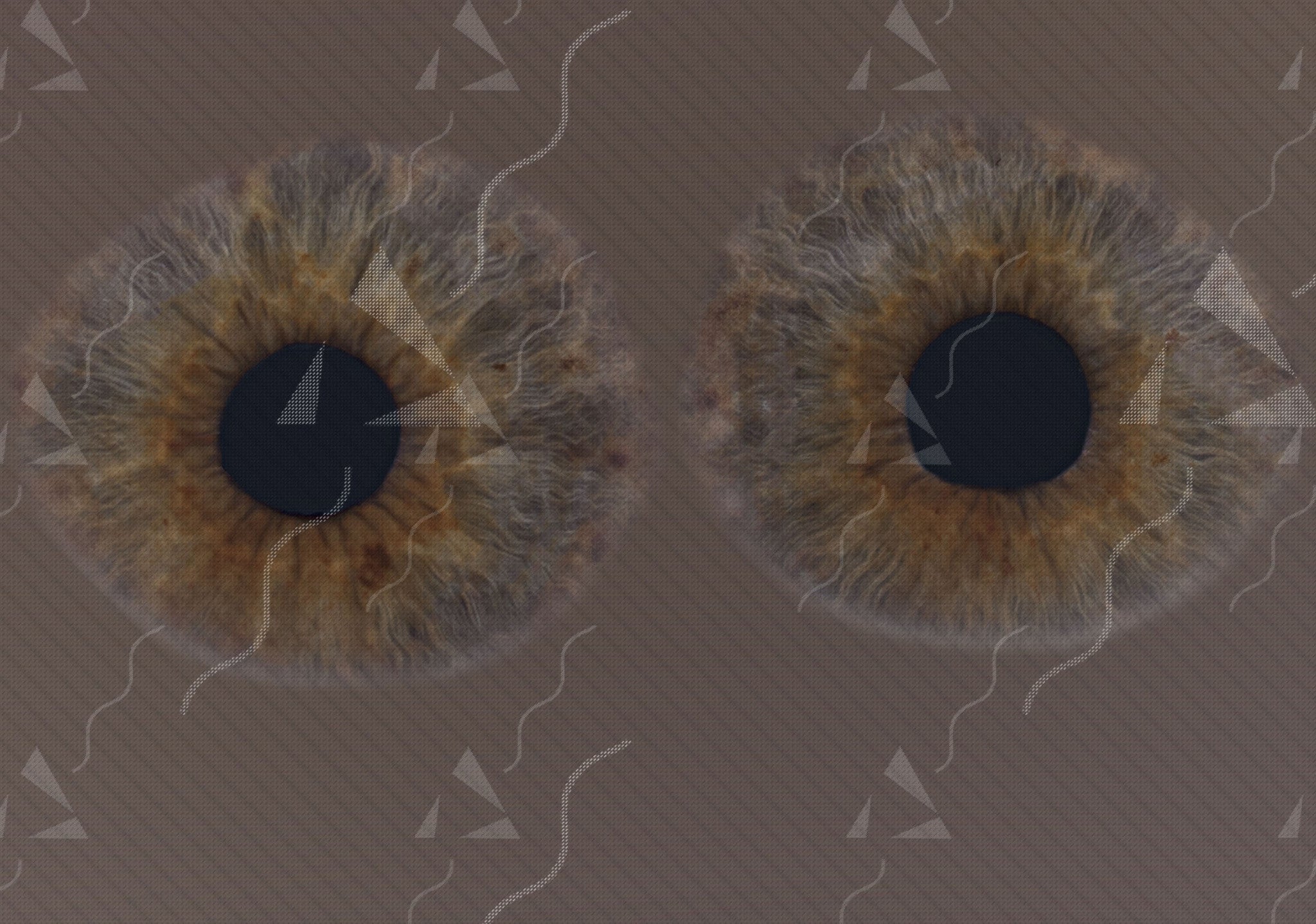 Male HumanEyesBrown Iris #05 – Texturing.xyz