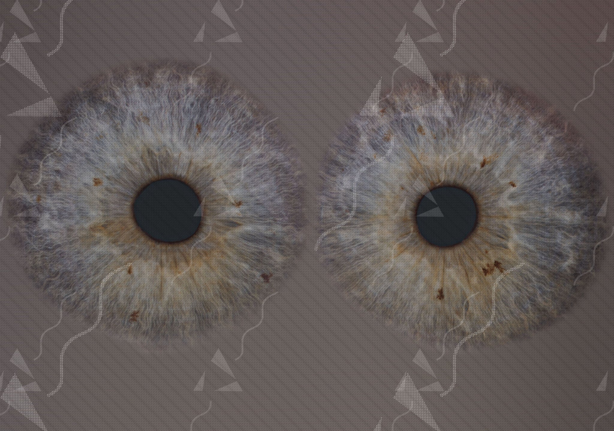 Male HumanEyesBlue Iris #06 – Texturing.xyz