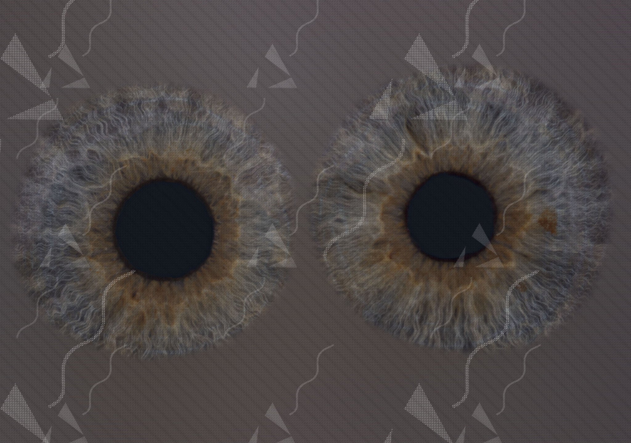 Male HumanEyesDarkGreen Iris #07 – Texturing.xyz
