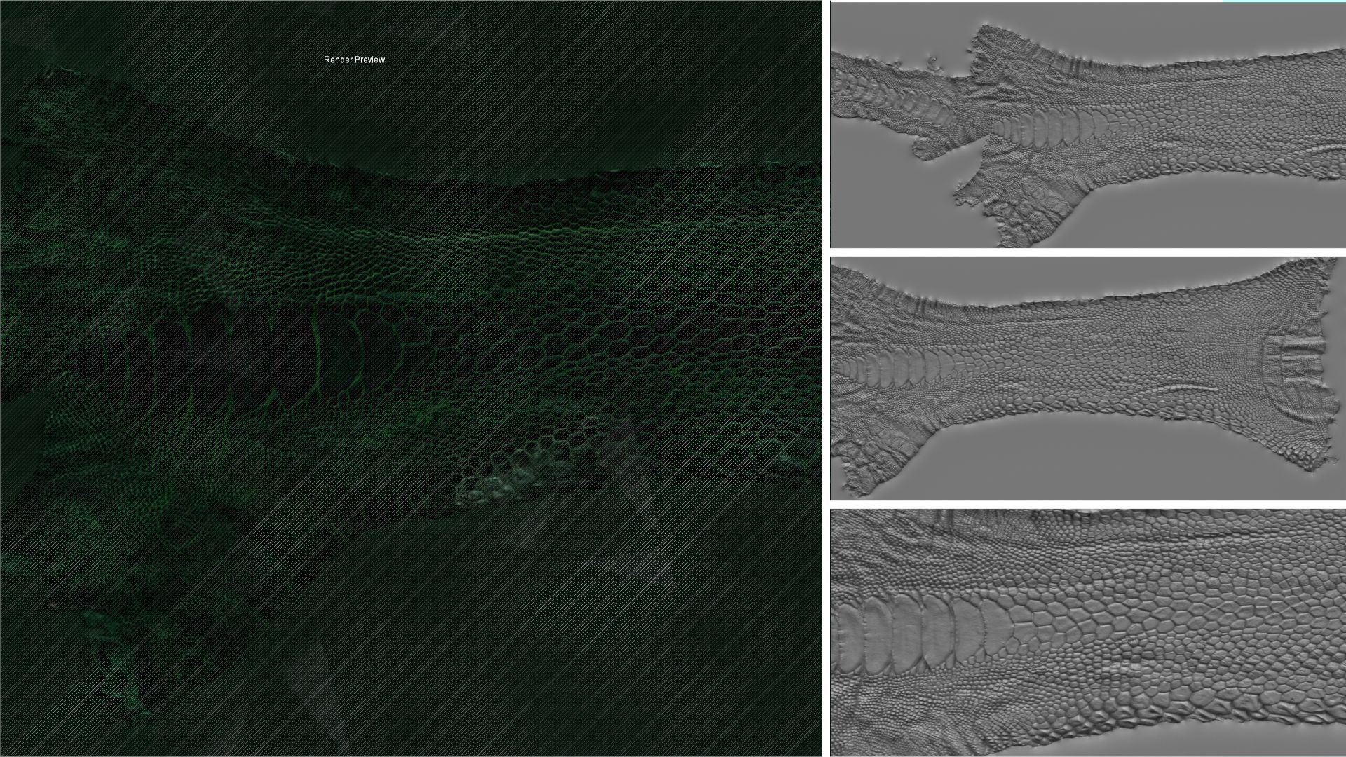 Ostrich foot #02 – Texturing.xyz
