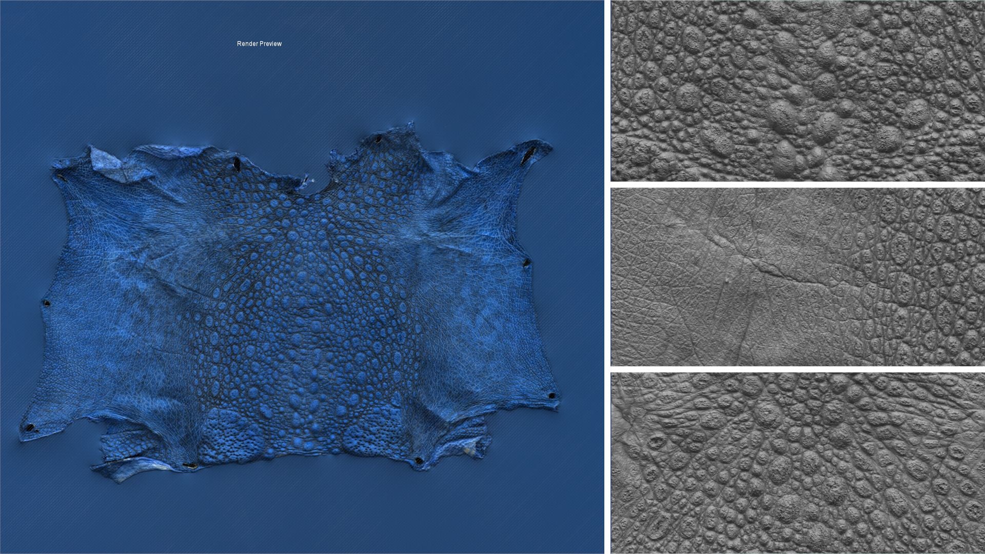 Frog #05 – Texturing.xyz