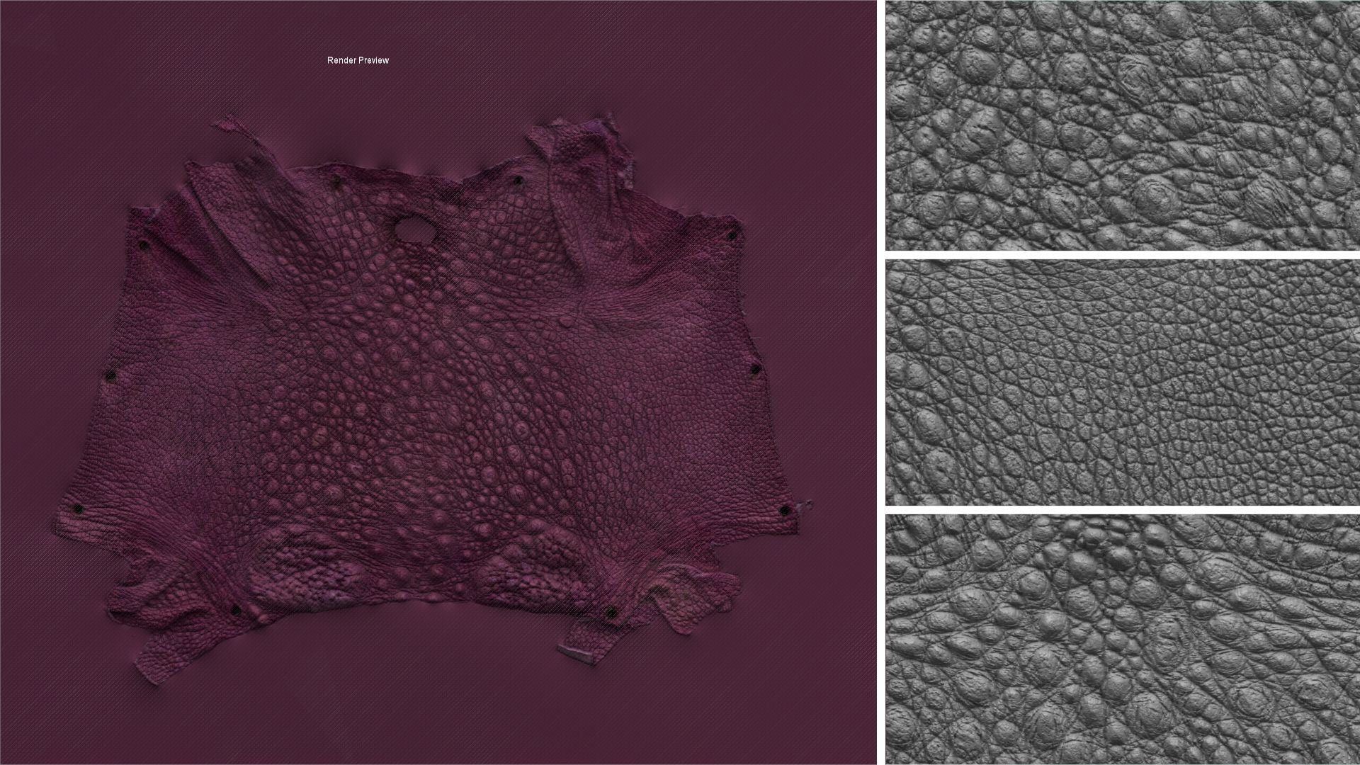 Frog #02 – Texturing.xyz