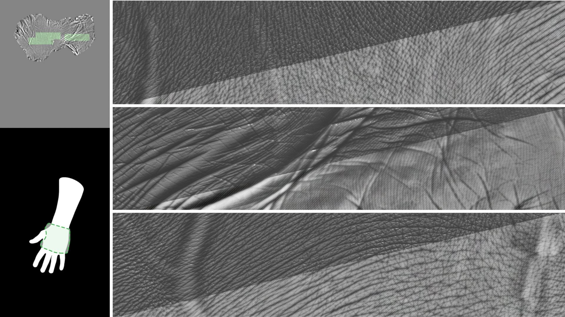 Male Arm 30s PalmHand #03 – Texturing.xyz