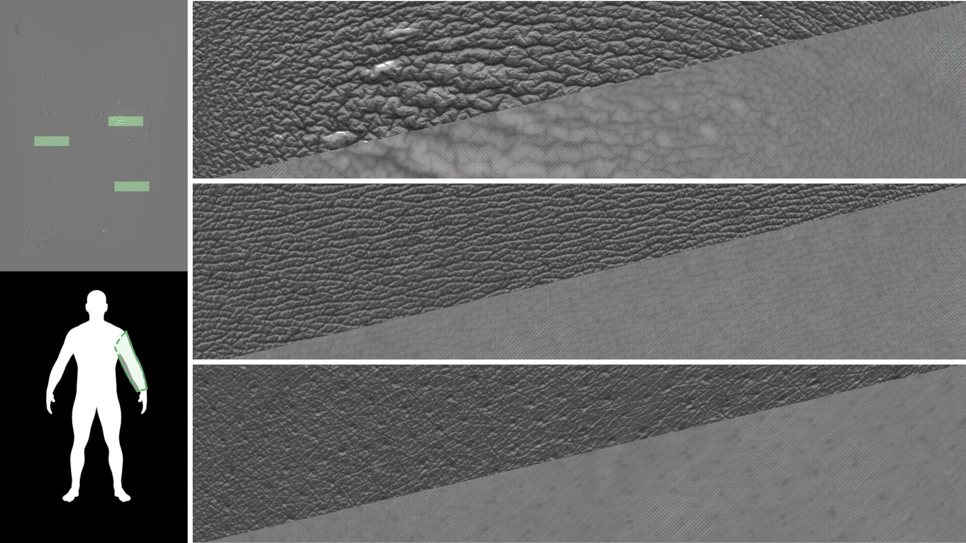 Male Arm 30s FullArm #01 – Texturing.xyz