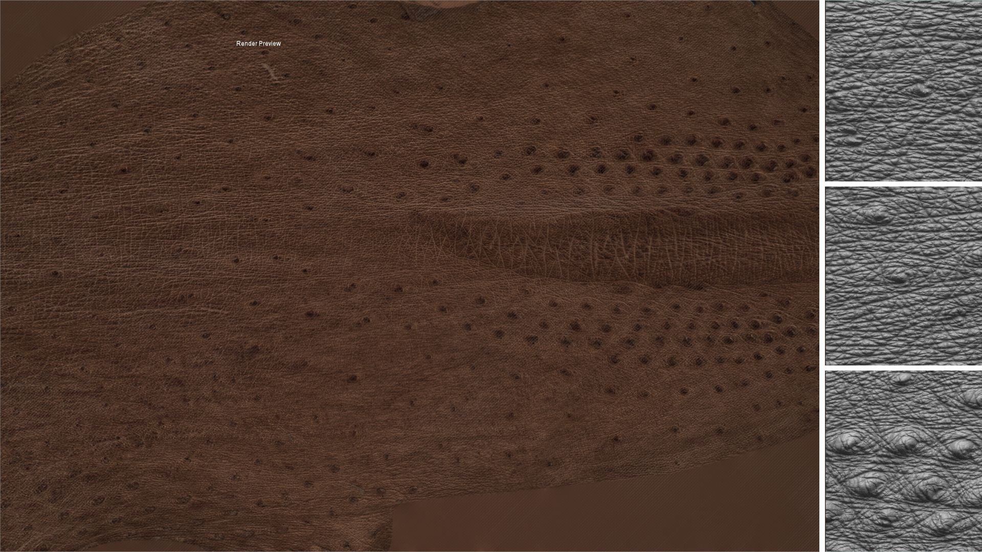Ostrich skin #01 – Texturing.xyz