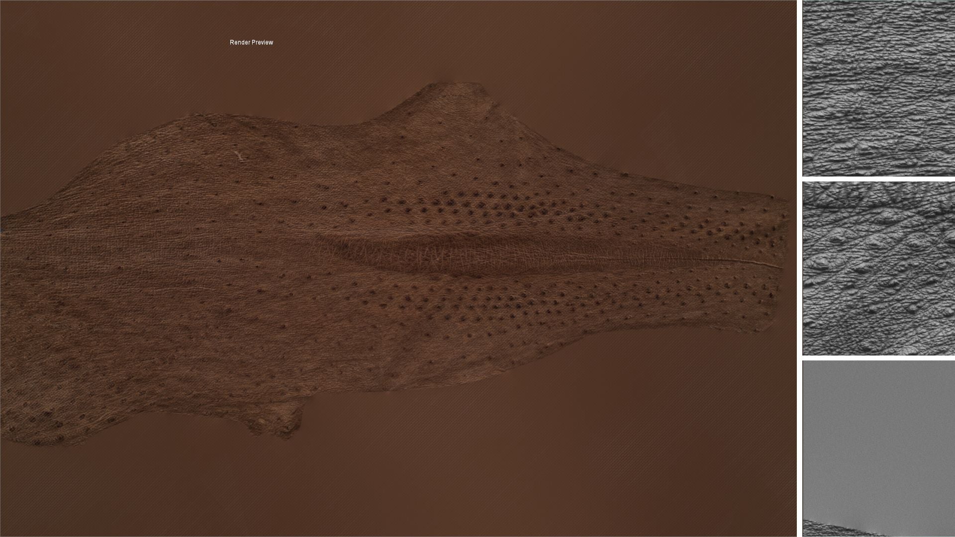 Ostrich skin #02 – Texturing.xyz