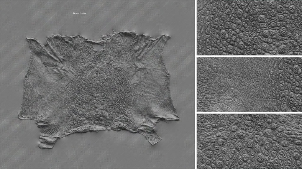 Bundle frog #01 – Texturing.xyz