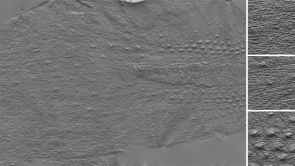 Ostrich skin #01 – Texturing.xyz