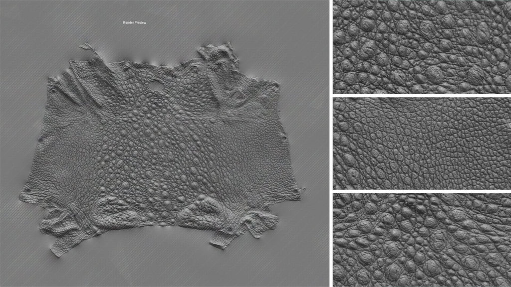 Frog #02 – Texturing.xyz