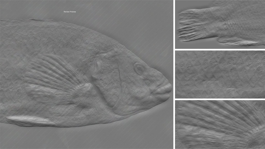Fish vieille #02 – Texturing.xyz