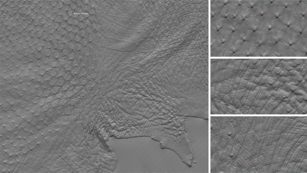 Ostrich body #04 – Texturing.xyz