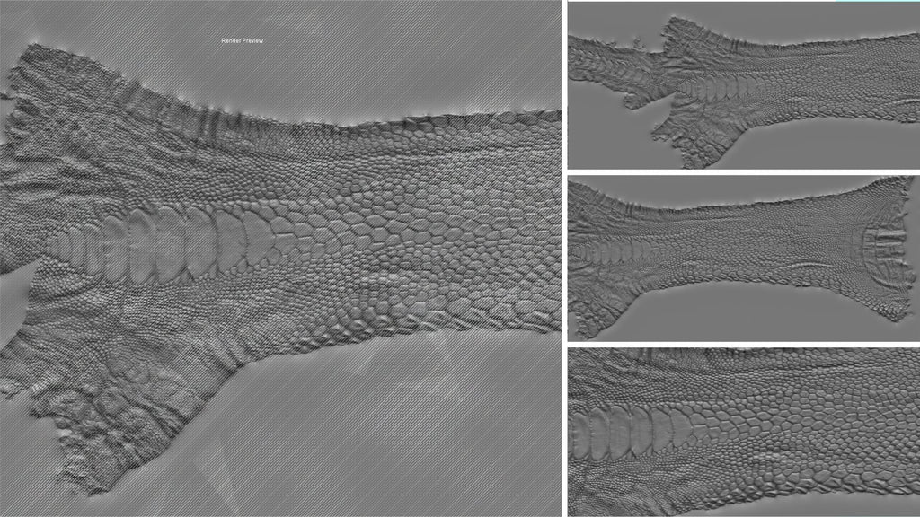 Ostrich foot #02 – Texturing.xyz