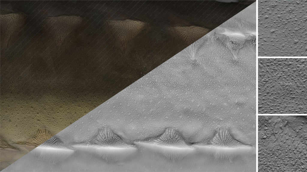 Sturgeon skin #01 – Texturing.xyz