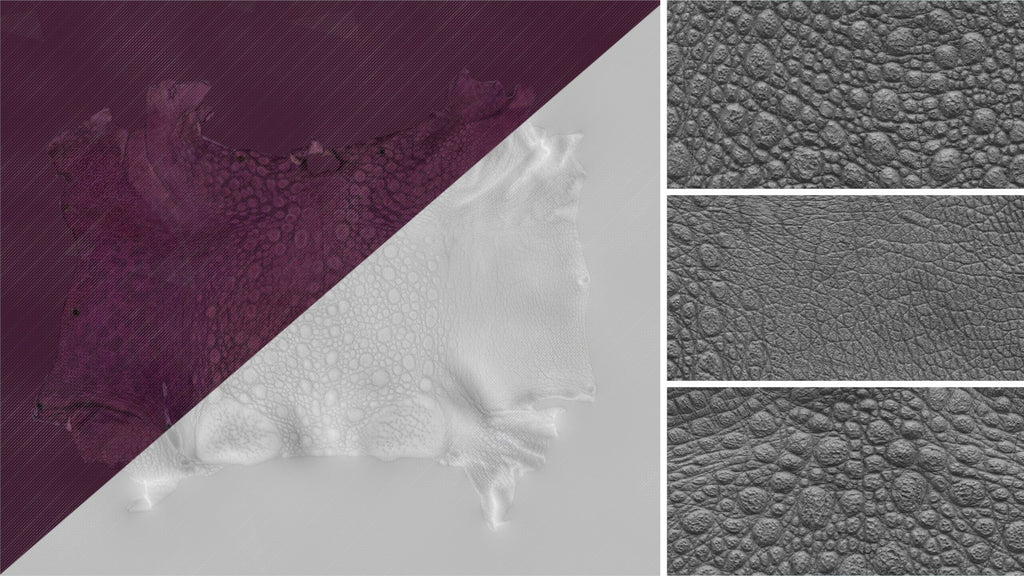 Frog #04 – Texturing.xyz