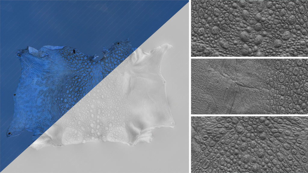 Frog #05 – Texturing.xyz