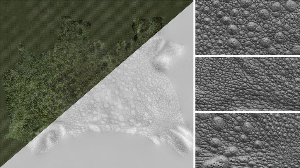 Bundle frog #01 – Texturing.xyz