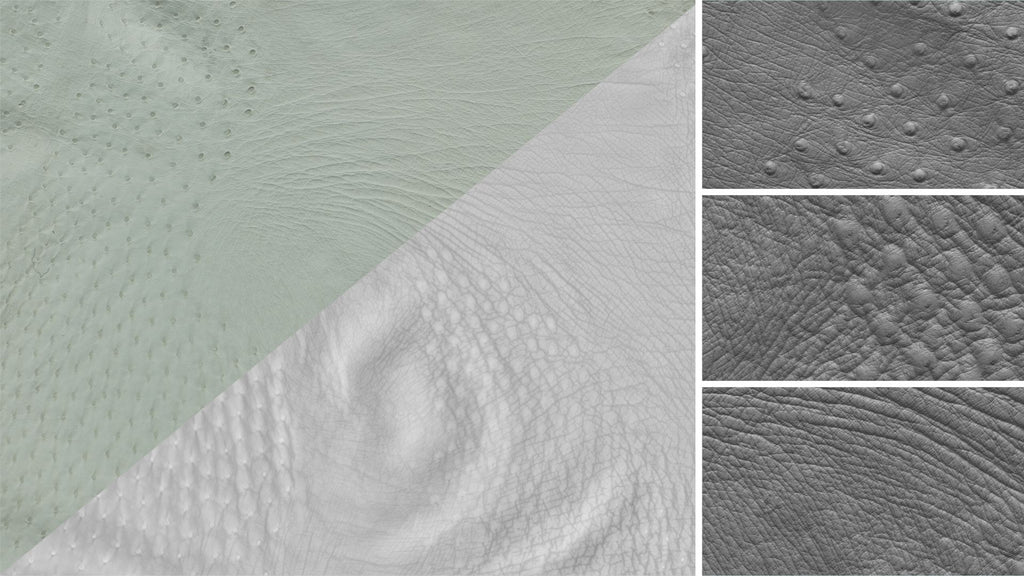 Ostrich body #03 – Texturing.xyz