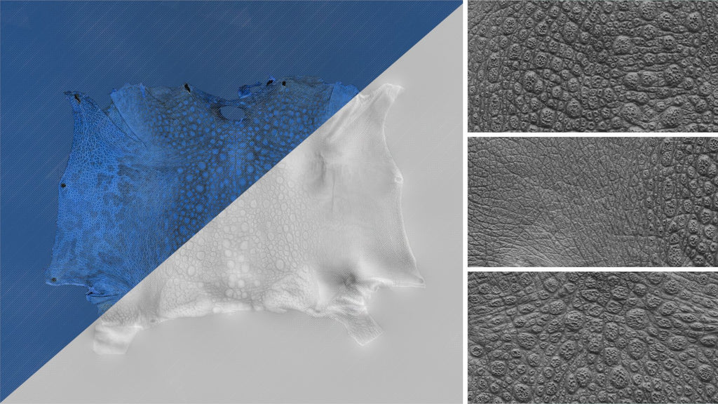 Frog #03 – Texturing.xyz