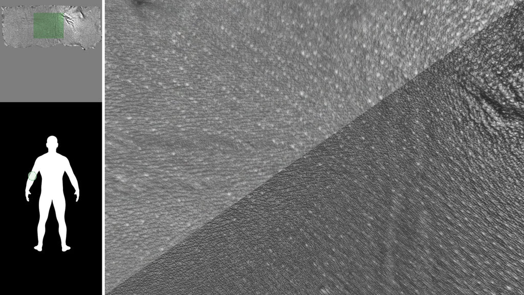 Female Arm 20s Elbow #01 – Texturing.xyz