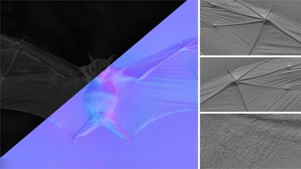 Bat #01 – Texturing.xyz