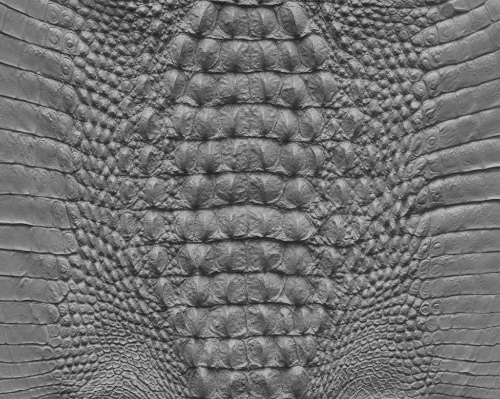Alligator body #01 – Texturing.xyz