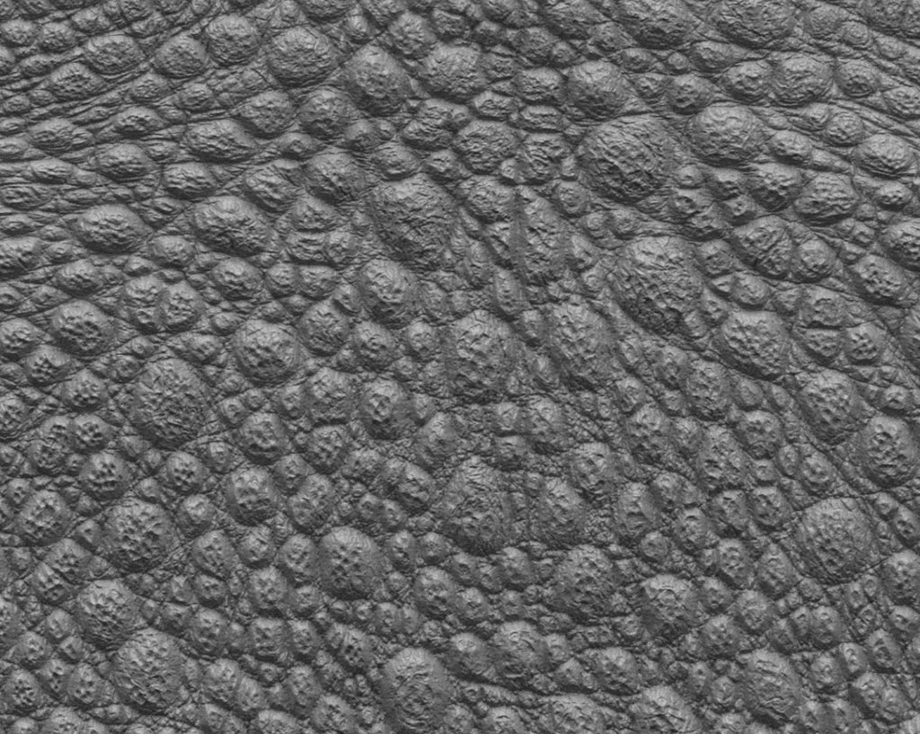 Frog #06 – Texturing.xyz