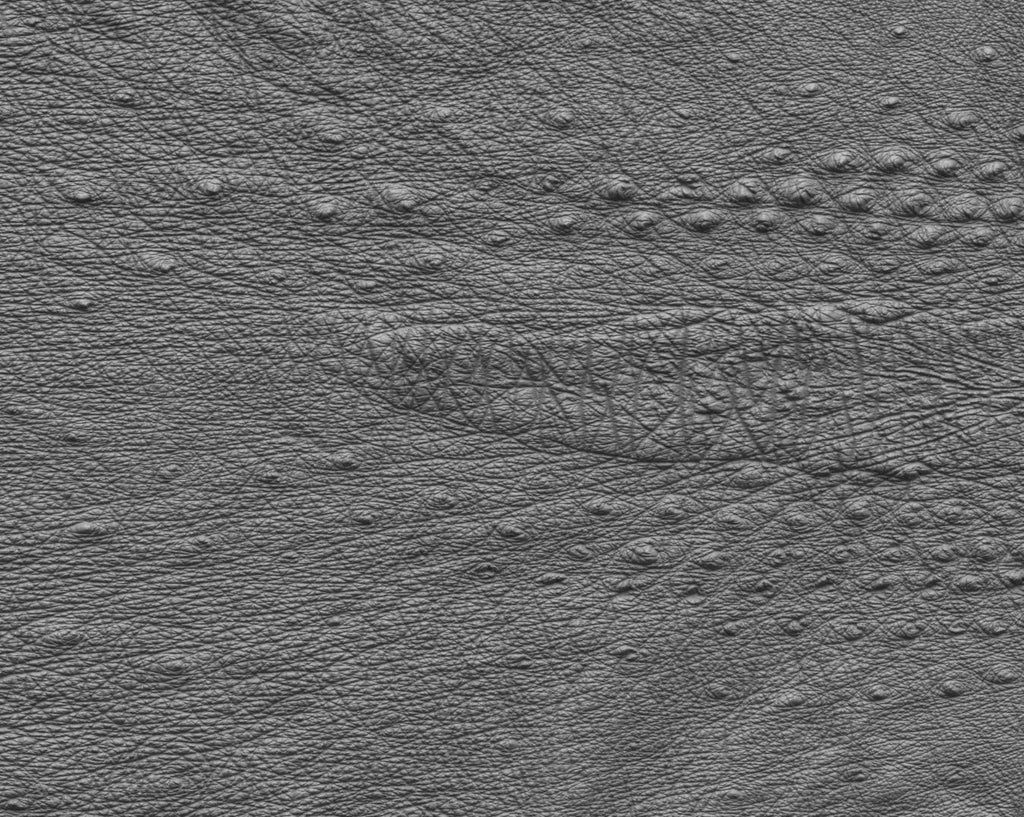 Ostrich skin #01 – Texturing.xyz