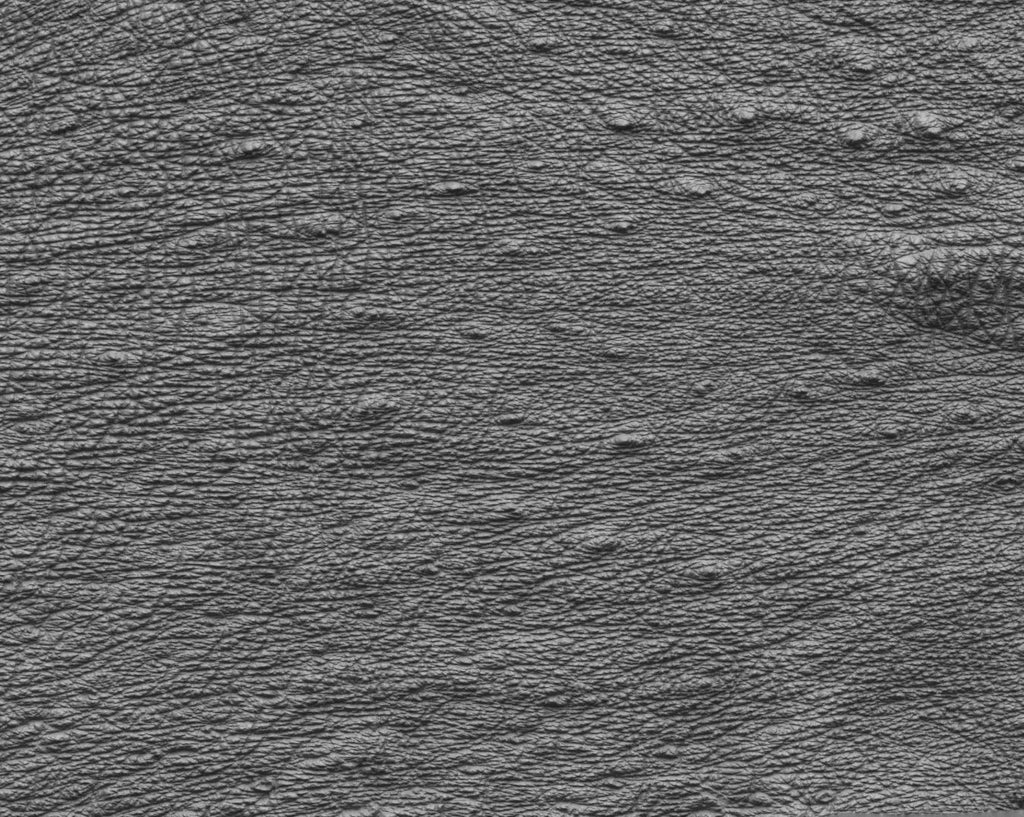 Ostrich skin #02 – Texturing.xyz