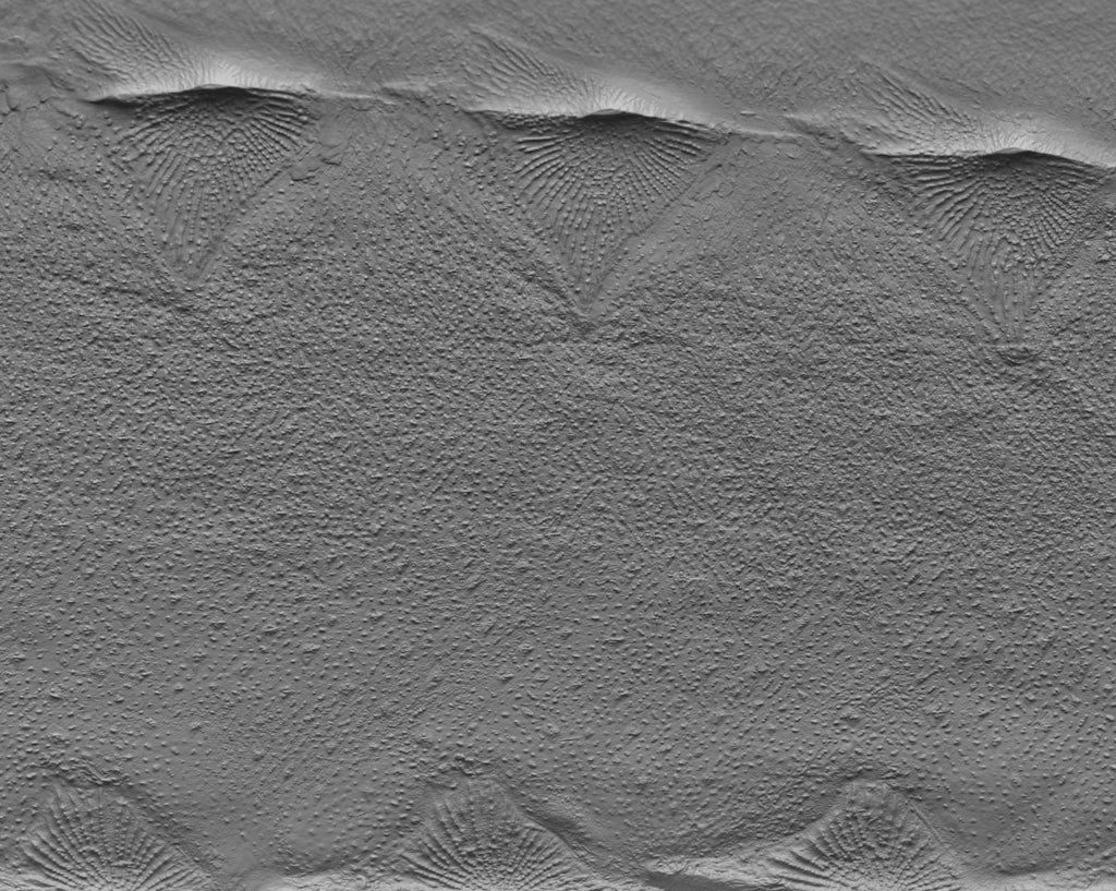 Sturgeon skin #01 – Texturing.xyz