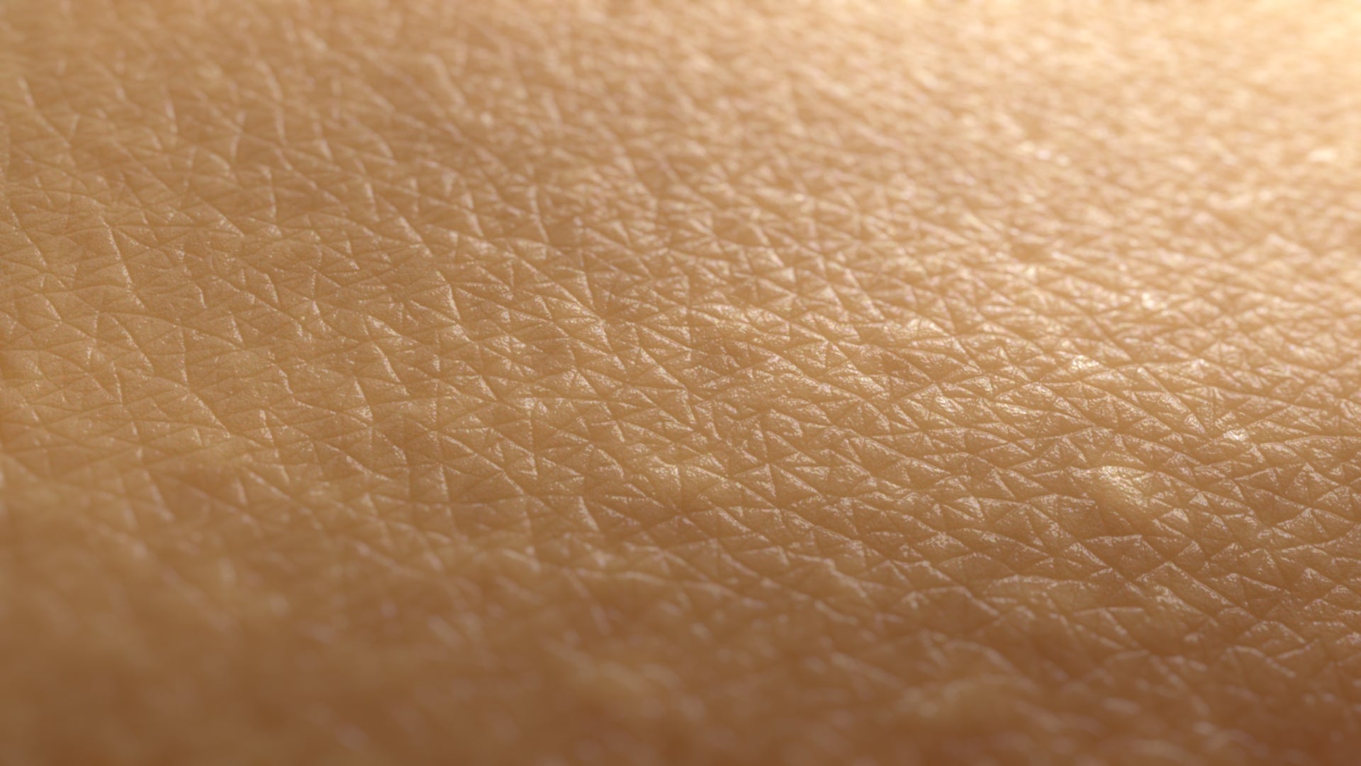 MicroSkin Arm #01 – Texturing.xyz