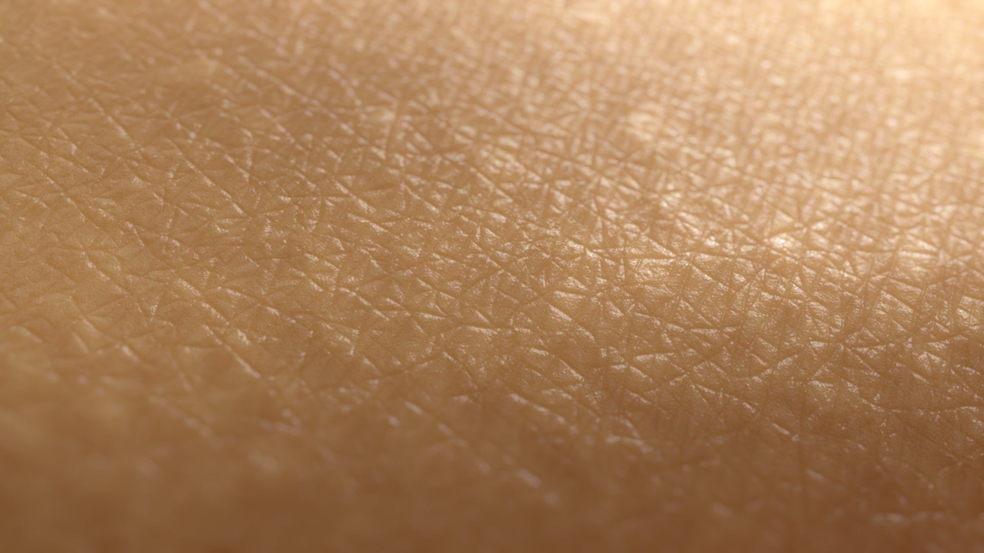 MicroSkin Leg #01 – Texturing.xyz