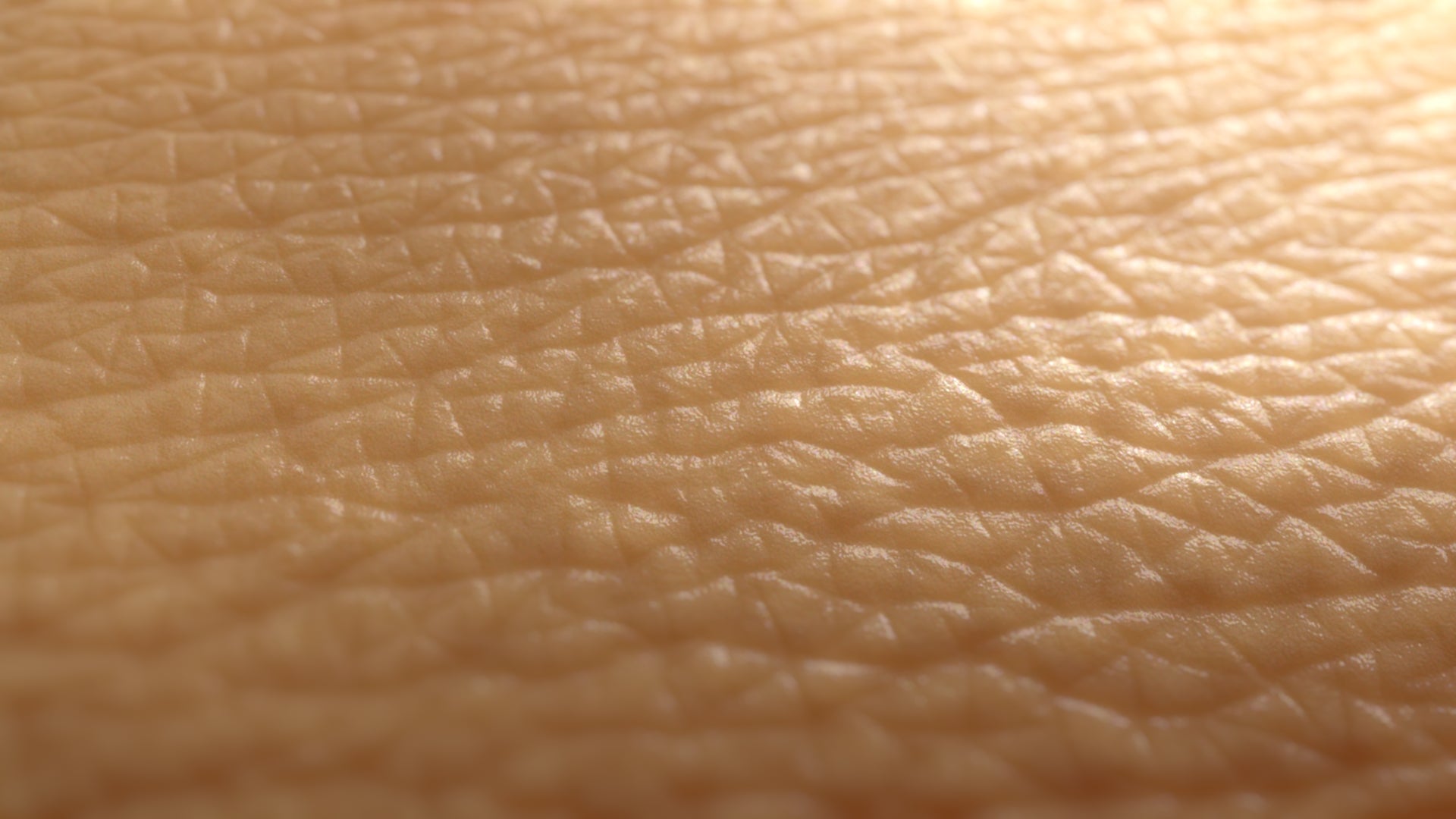 MicroSkin PalmHand #01 – Texturing.xyz