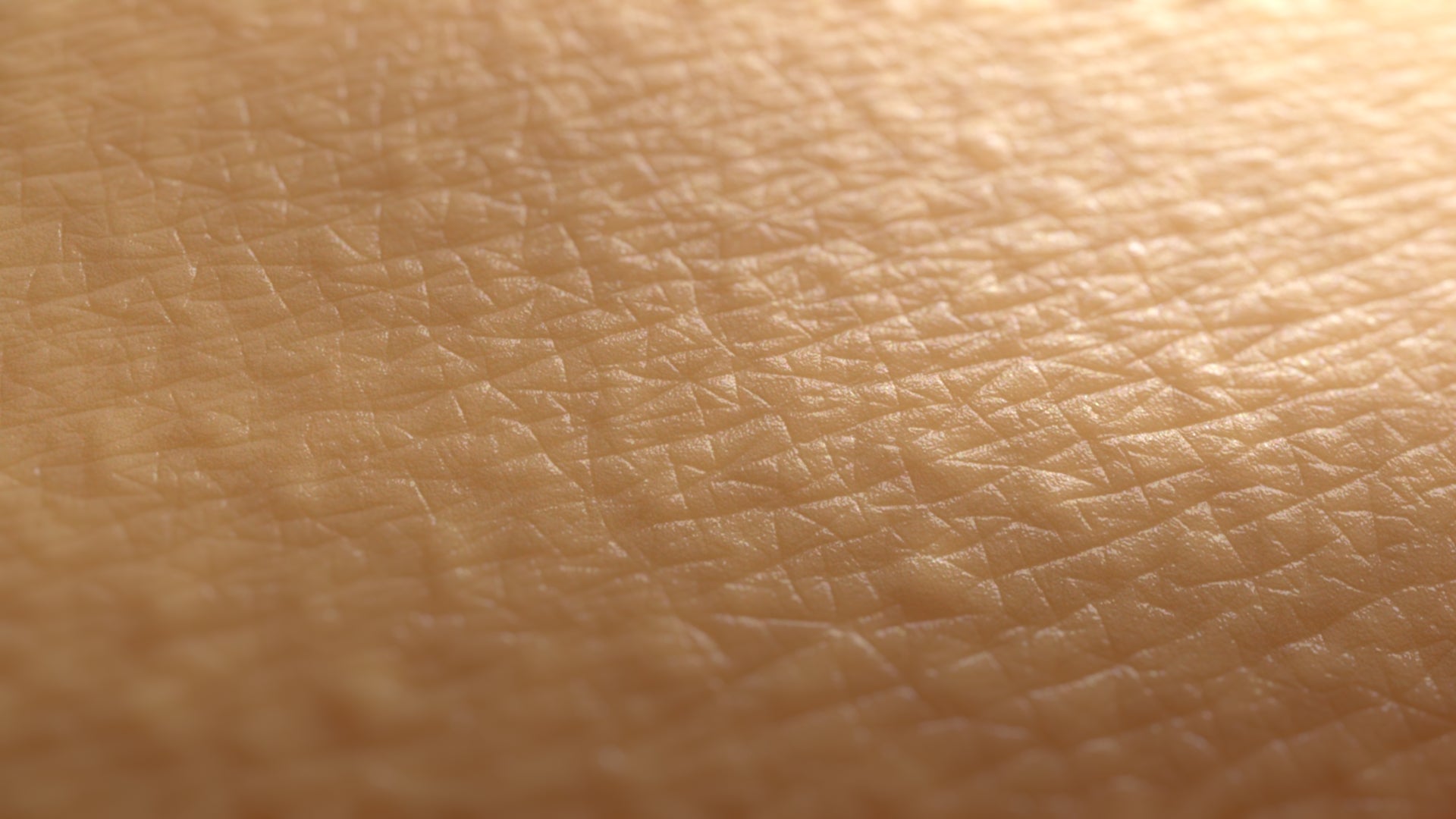 MicroSkin Shoulders #03 – Texturing.xyz