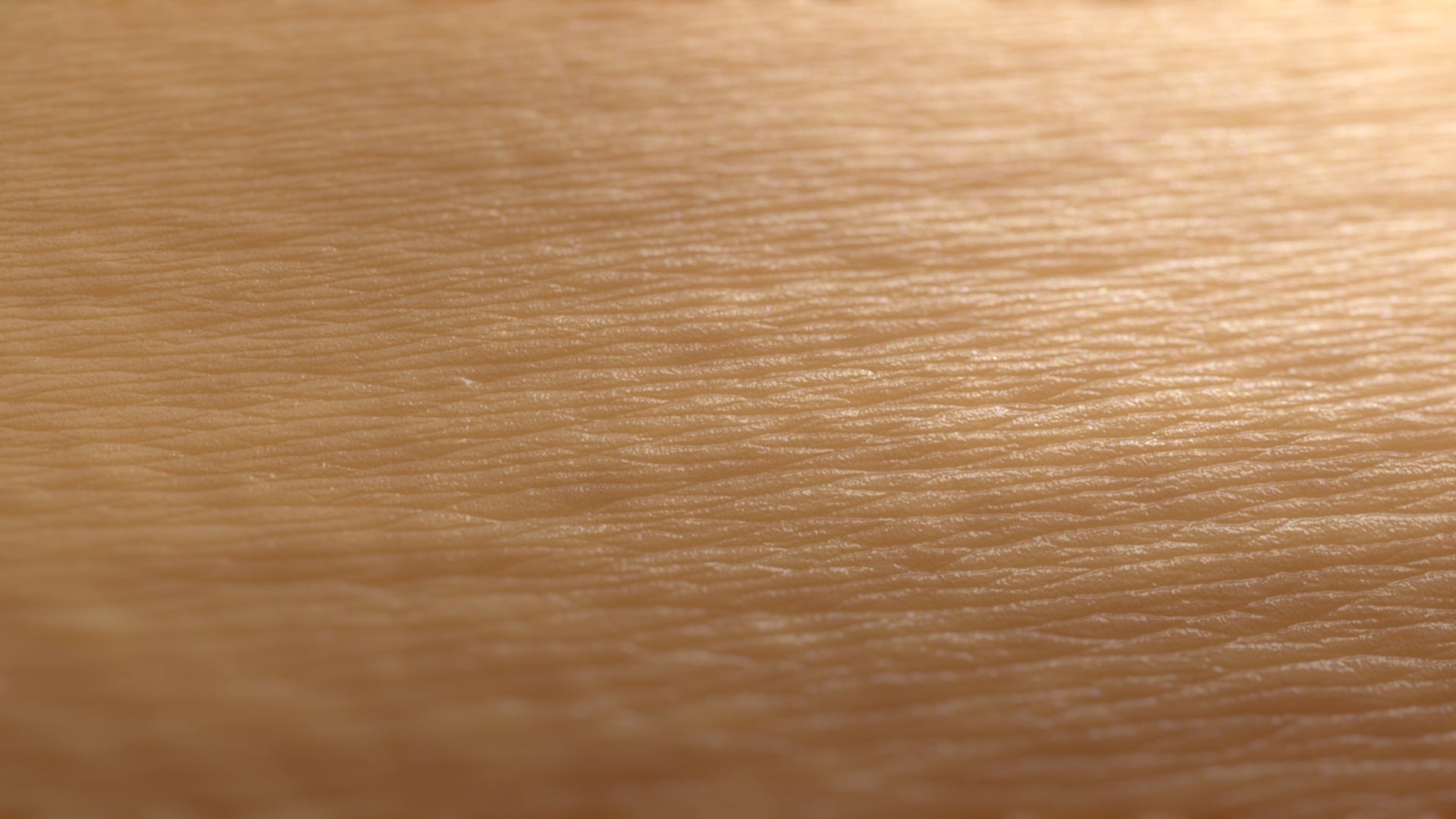 MicroSkin Back #01 – Texturing.xyz